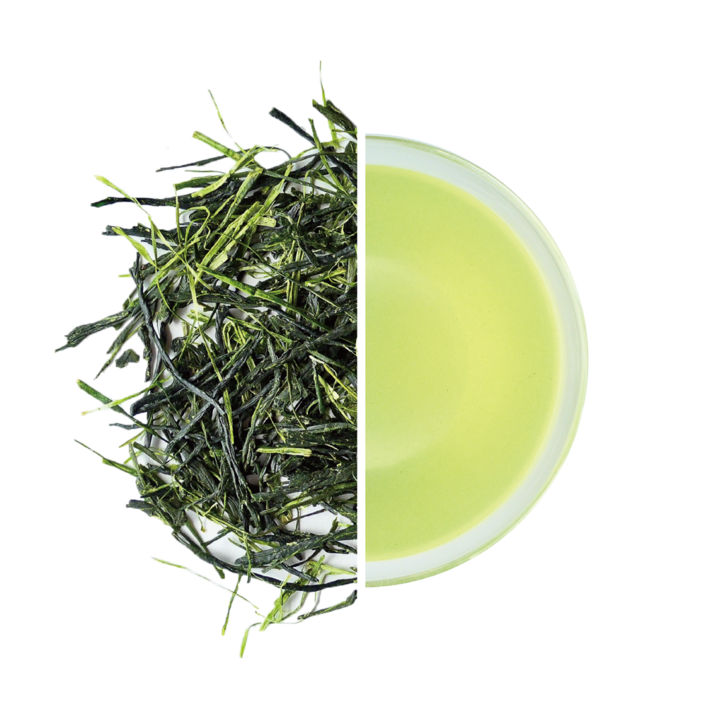 Kyoto Obubu Tea Farms