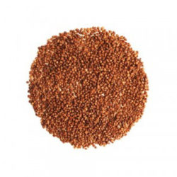 Genmai (80g) | Kyoto Obubu Tea Farms