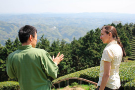 Guided Tea Tour | Kyoto Obubu Tea Farms