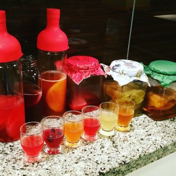 Kombucha for Japan | Kyoto Obubu Tea Farms