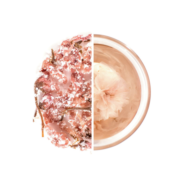 Sweet Sakura Tea (100g) | Kyoto Obubu Tea Farms