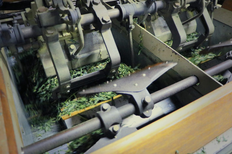 A brief summary of Japanese Tea – Carly De La Cruz | Kyoto Obubu Tea Farms