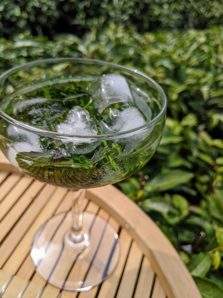 Obubu_Tea_Farm_Cold_brewing_by_Giedre_Trumpiene3 | Kyoto Obubu Tea Farms