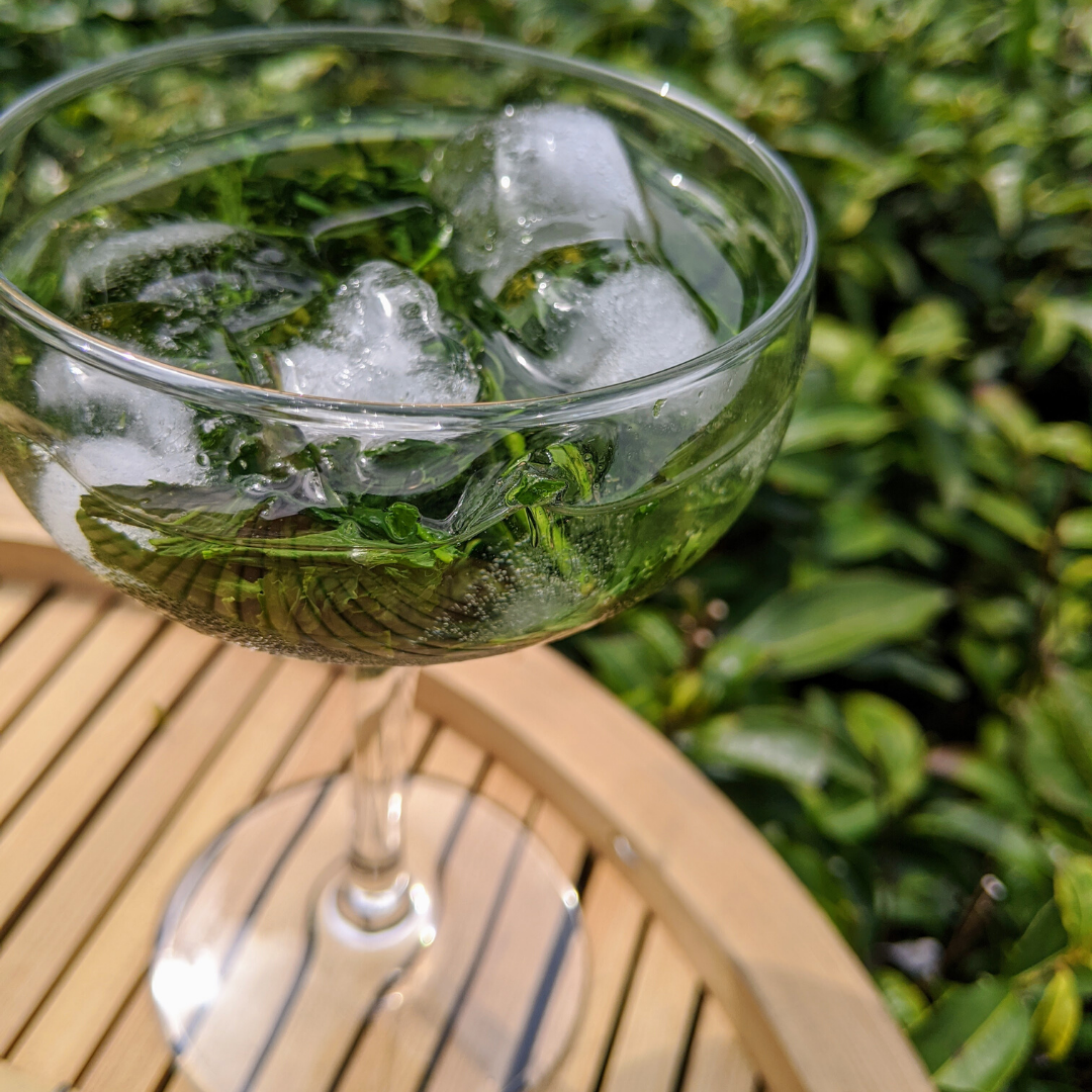 Obubu_Tea_Farm_Cold_brewing_by_Giedre_Trumpiene9 | Kyoto Obubu Tea Farms