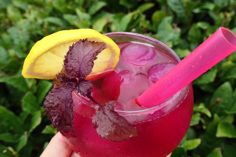 Iced Shiso Wakoucha Recipe | Kyoto Obubu Tea Farms