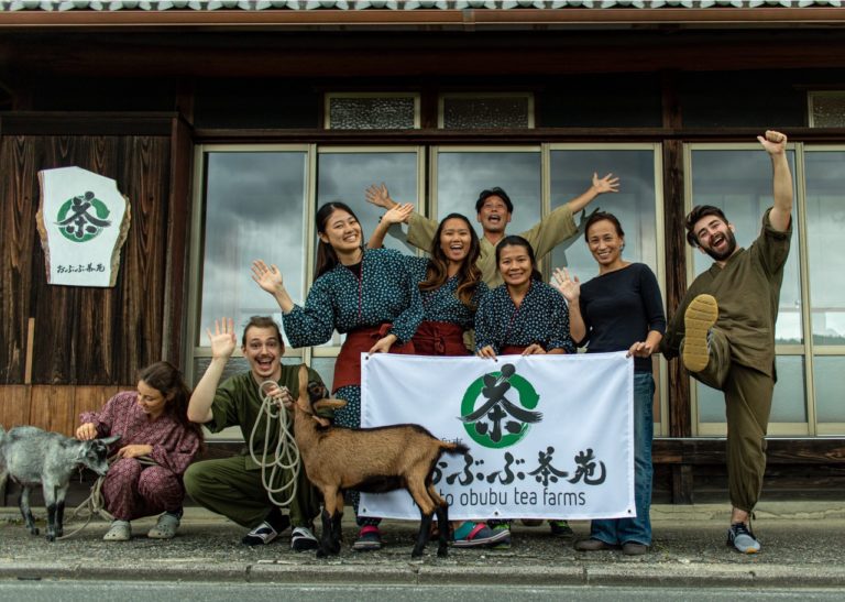 Online Tea Tour | Kyoto Obubu Tea Farms