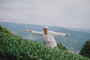 Online Tea Education – Kyoto Obubu Tea Farms