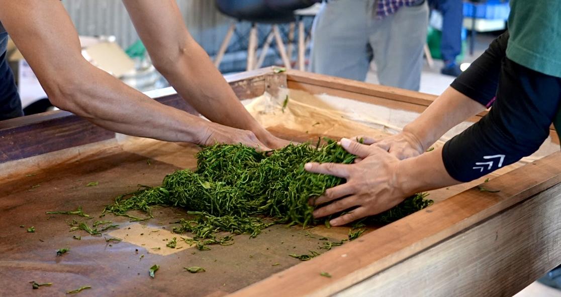 Hand Rolling Workshop 日本一の手揉み製茶体験予約！ | Kyoto Obubu Tea Farms