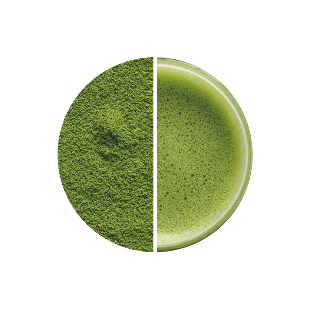 Spring Blend Matcha – 500g | Kyoto Obubu Tea Farms