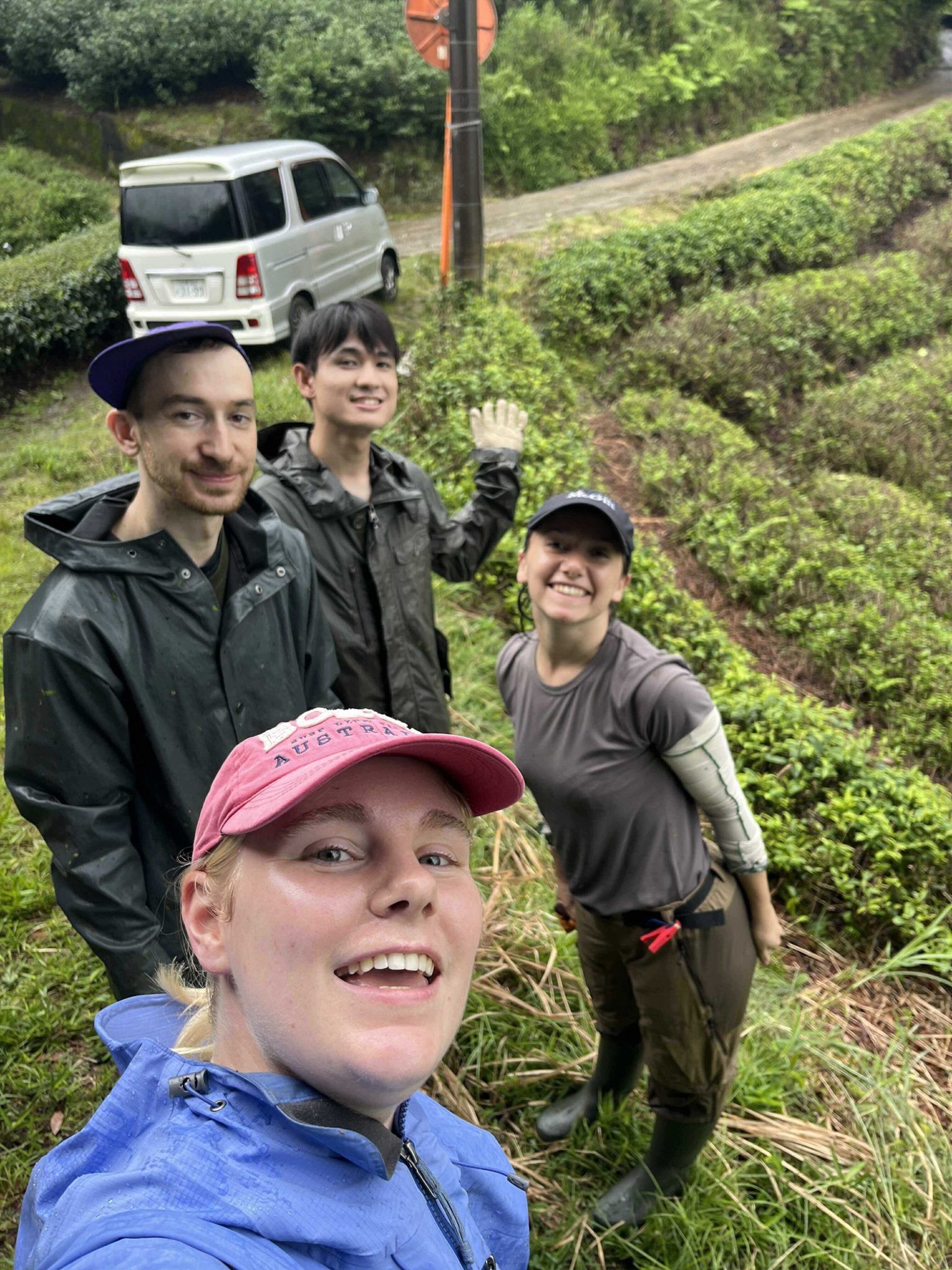 Tea Calendar | Kyoto Obubu Tea Farms
