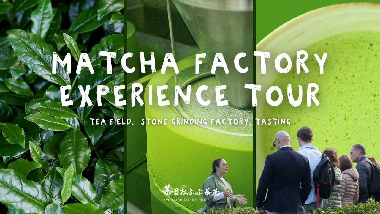 Matcha Factory & Tea Farm Tour – Kyoto Obubu Tea Farms